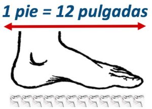 Yardas, pies y pulgadas - Spanish GED 365