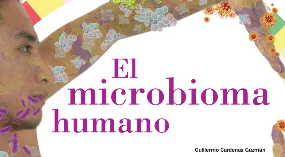 Revista Científica ¿cómo Ves Unam Spanish Ged 365